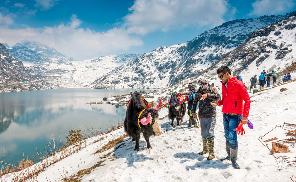 Gangtok Pelling Darjeeling Tour Package - Tripoventure -Best Deal