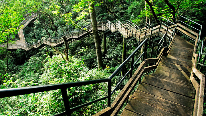 Top Eco-Friendly Destinations in India to Visit