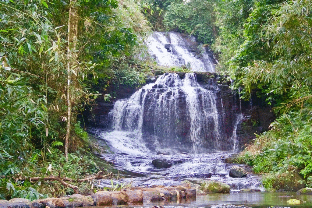 Top Eco-Friendly Destinations in India to Visit